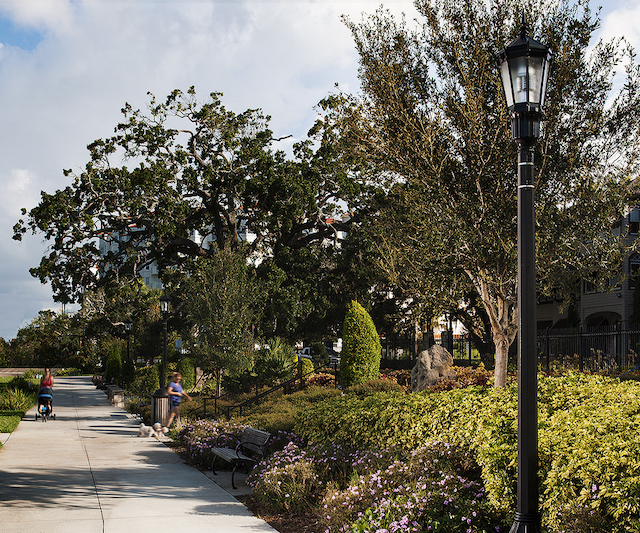 Whatley Photo Galleries